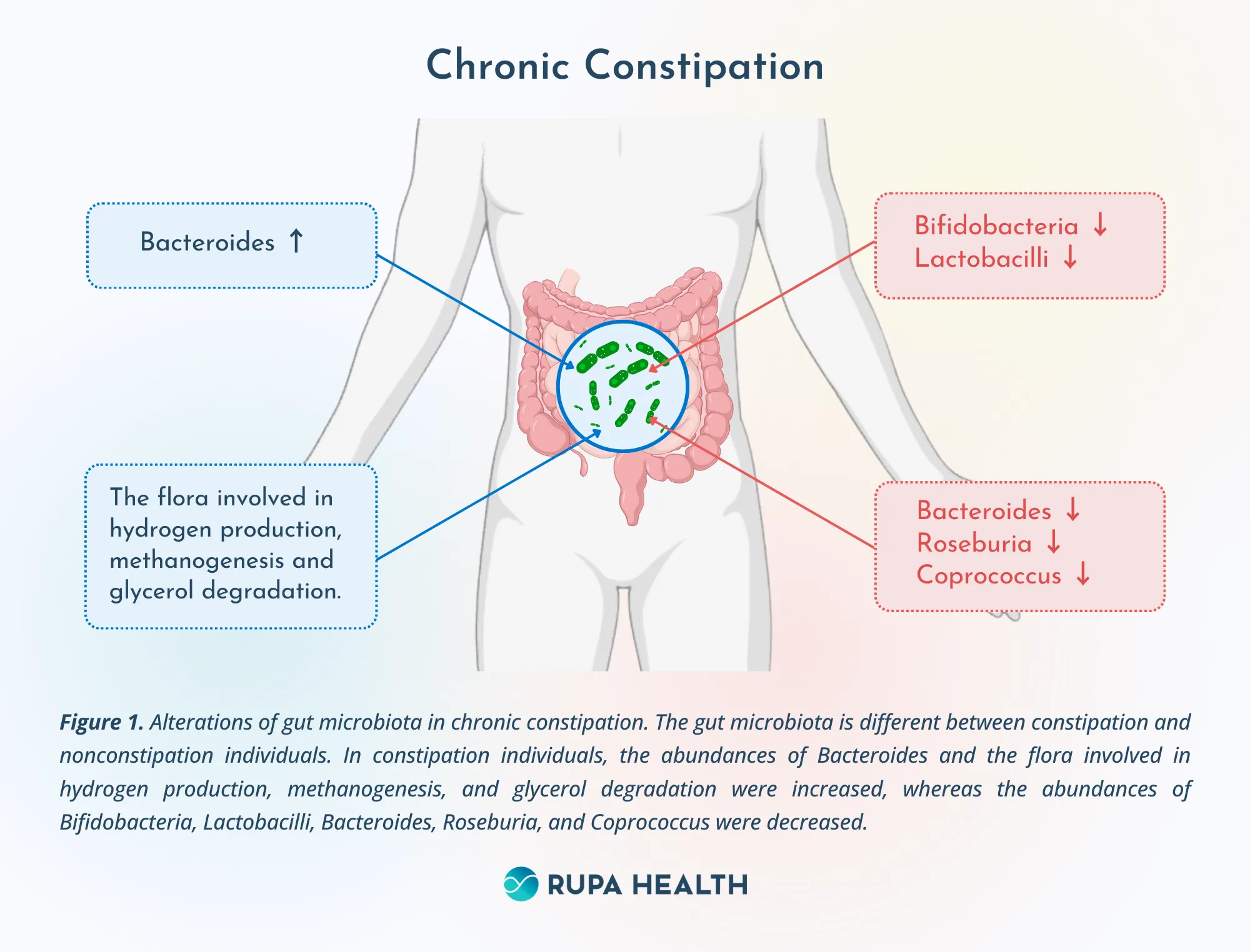 Chronic Constipation and Gut Motility: Functional Medicine Interventions and Solutions